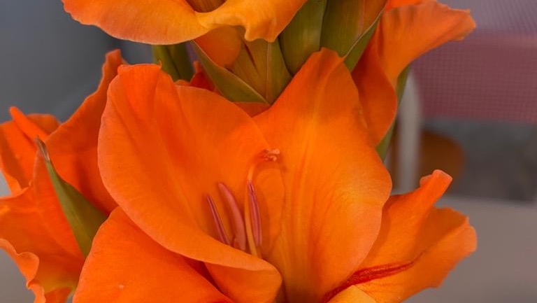 Fundraiser for Troy Jantz by Darin Buller : Troy Jantz