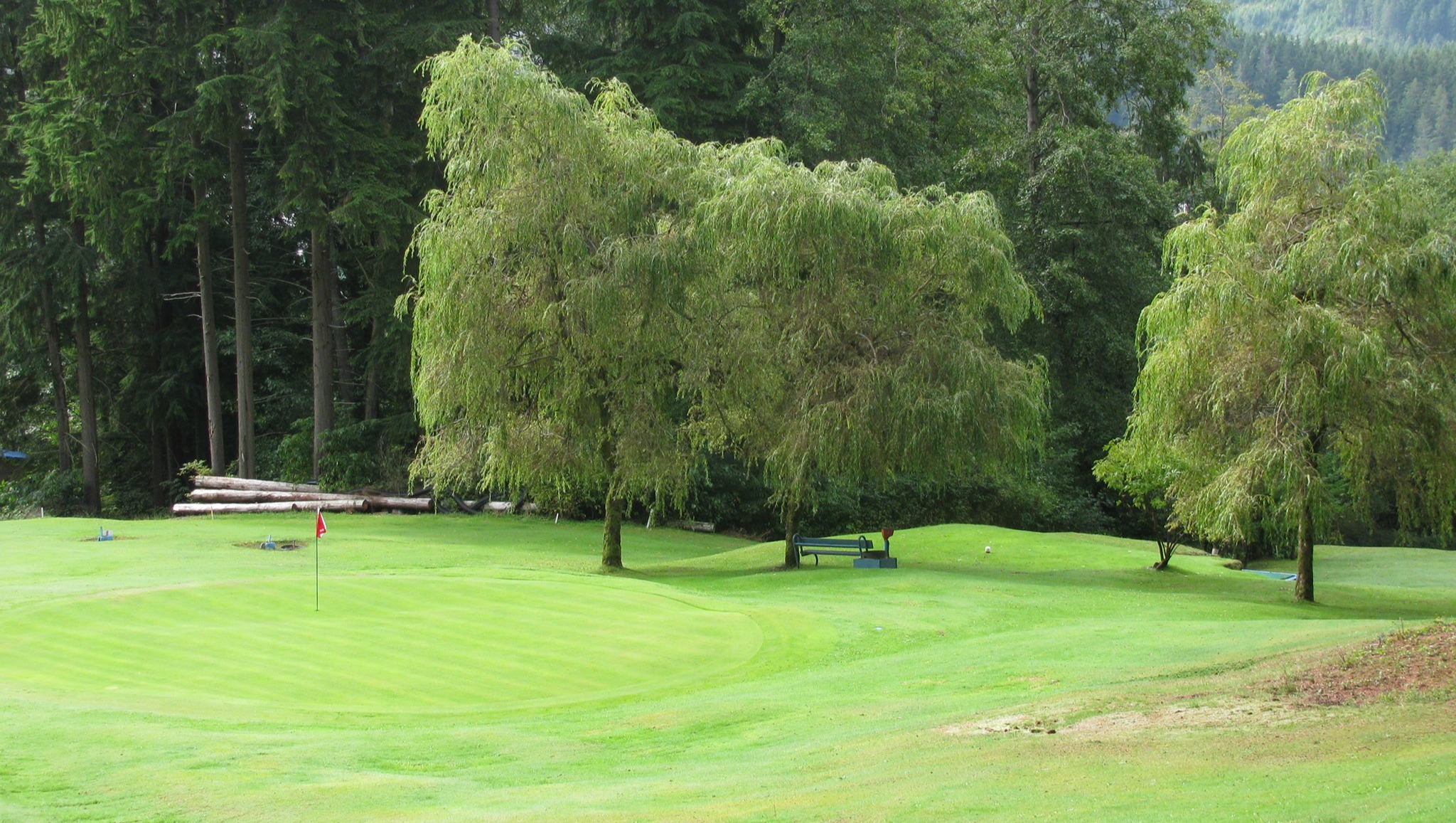 Fundraiser by Kysa Sutton Moretto : "Power Up The Club" The Port Alice ...