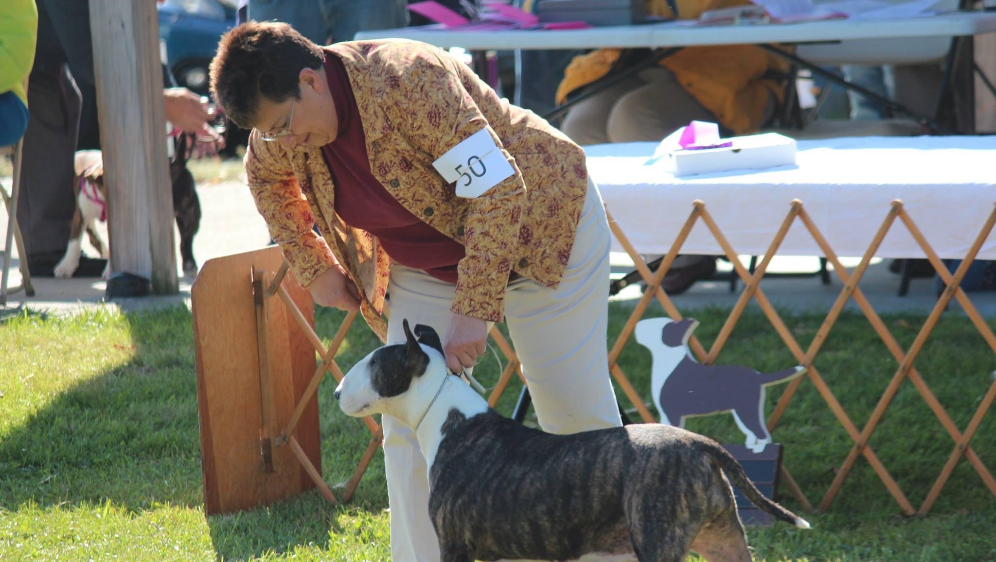 Fundraiser for Diane Thomas by Alison Ibbitson : Help Diane’s Recovery!