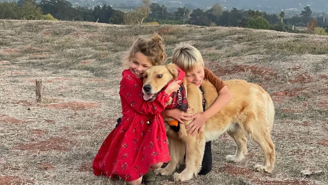 Fundraiser for Jordan Berkow by Mark Robinson : Archie was hit by a car ...