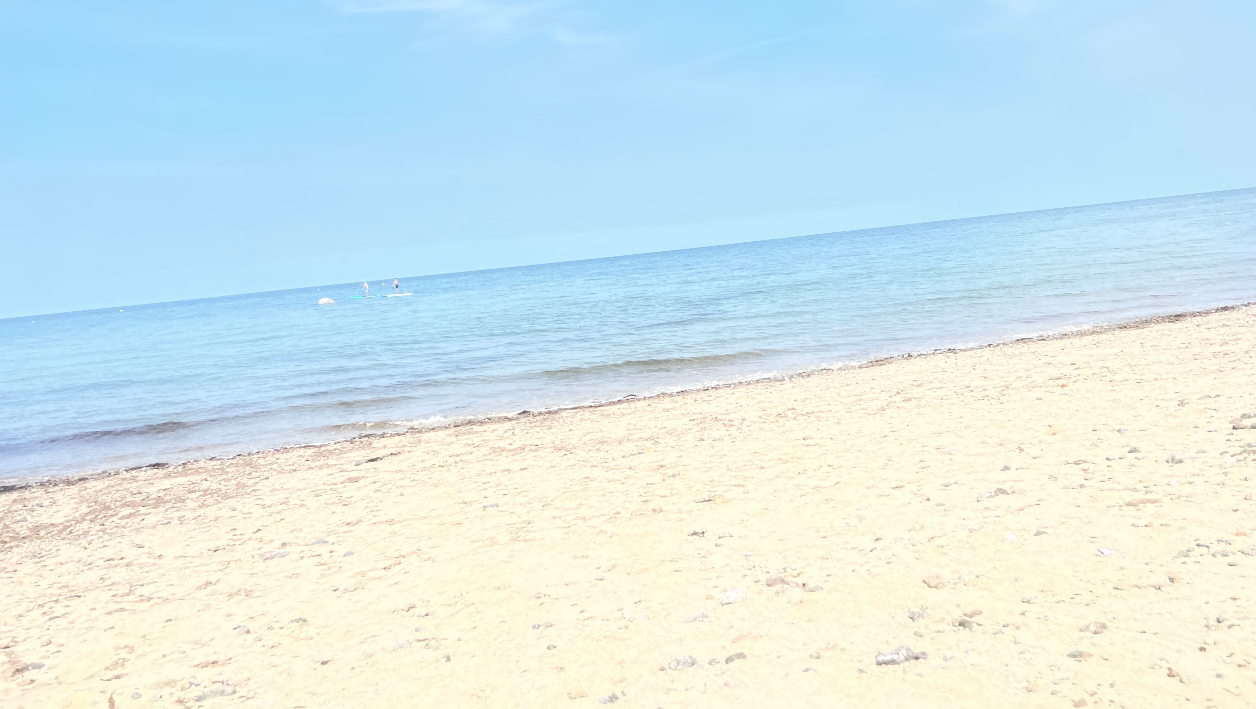 Fundraiser for Kaitlyn Tavares by Teri Morse : Help give Mike Tavares a ...