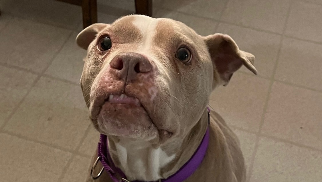 Fundraiser for Stephanie Bagley by Jamie Shotwell : Diamond