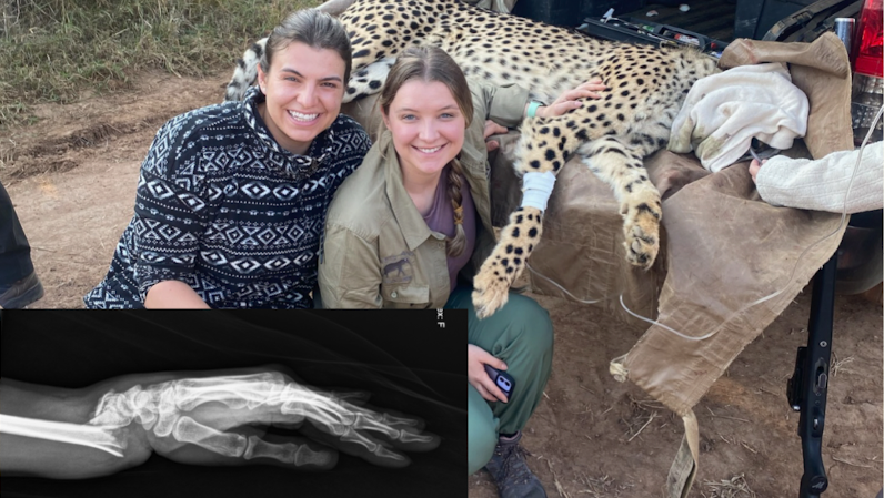 Fundraiser by Mary Caldbeck : Mary's Emergency Surgery & Recovery Fund