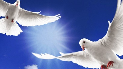 Fundraiser for Renee Roper by Lorna Urbano : Renee Roper