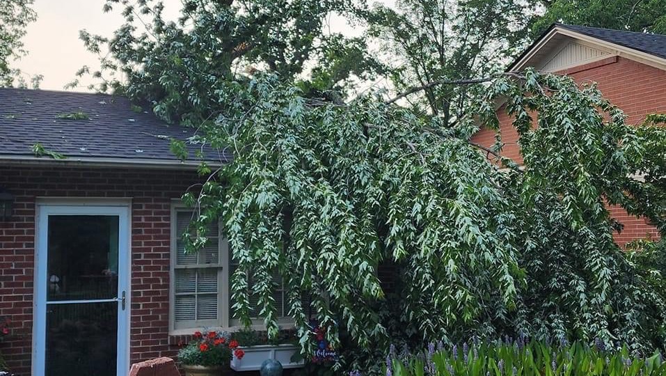 Fundraiser for Danielle Gates by Brittany Eikost : Repair Sophisticuts ...