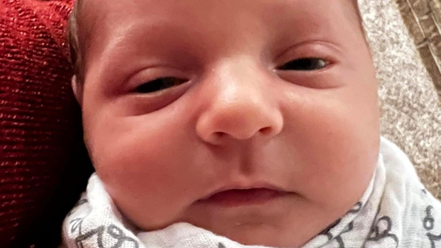 Fundraiser by Suzanne Olson Robinson : Motlee Jude’s Memorial Fund