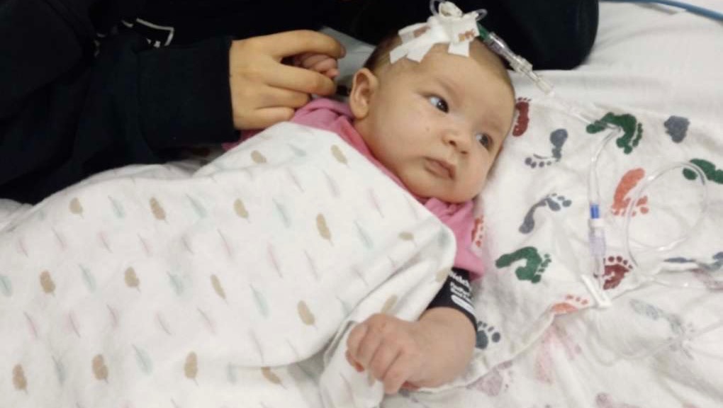 Fundraiser for Curtis Harder by Rebbecca Harder : Help Evee beat Type 1 SMA