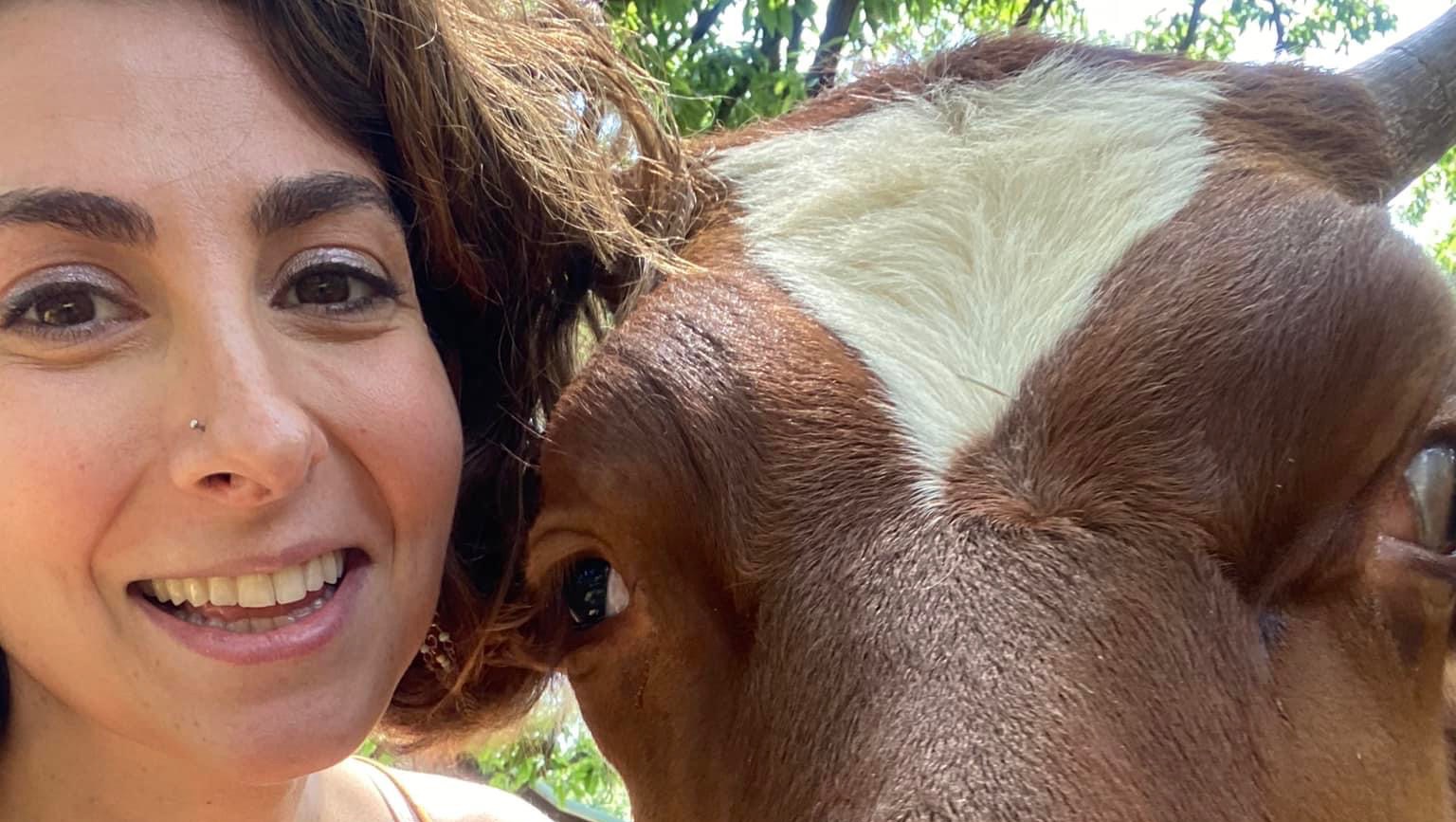 Fundraiser by Rose MacLeod : 15,000