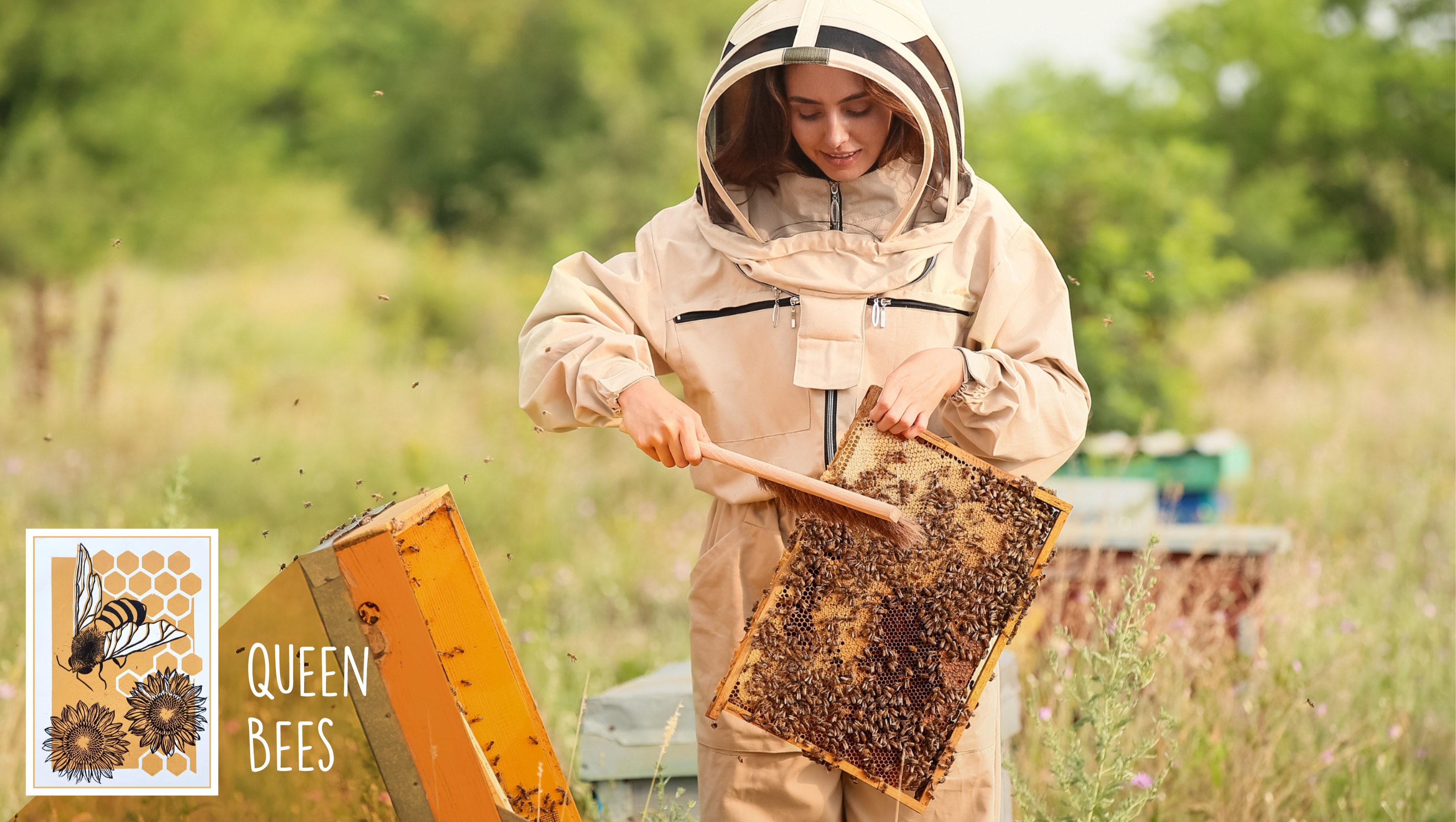 Fundraiser by Maria Erhard : Beekeeping training for refugee girls in ...