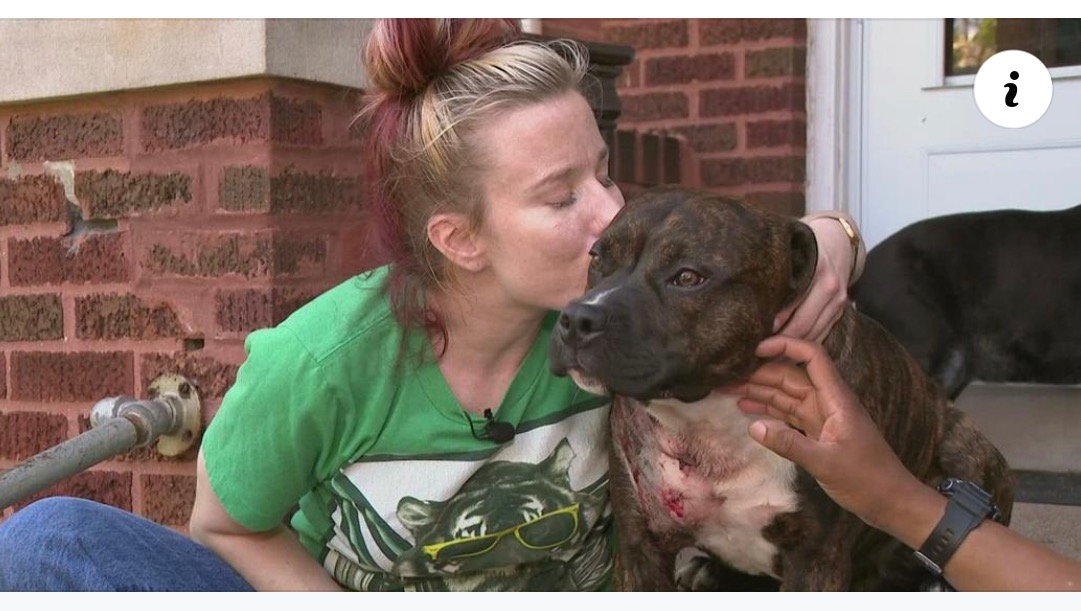 Fundraiser for Ellen Cook by Alanna P : Ellen and family- surviving ...