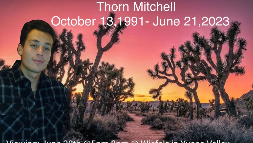 Fundraiser by Dorian Levi : Thorn's Funeral Expenses