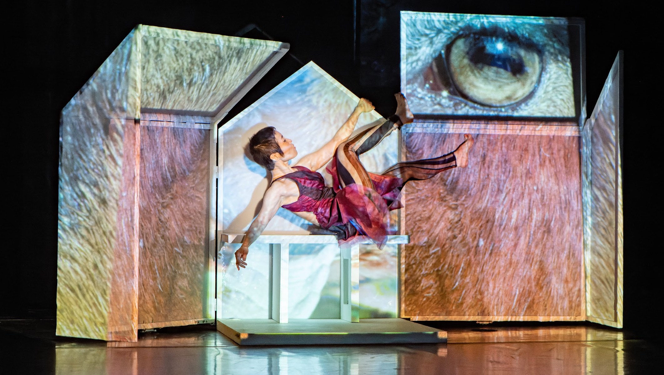 Fundraiser by Joshua Kohl : Degenerate Art Ensemble NEW WORK and TOURING