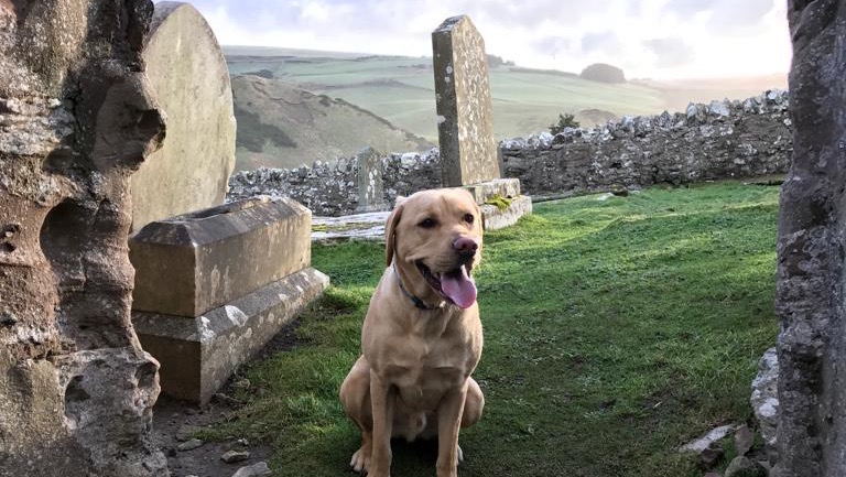 Fundraiser by Amy Evans : Bring Heather & Josh Mikelson Home