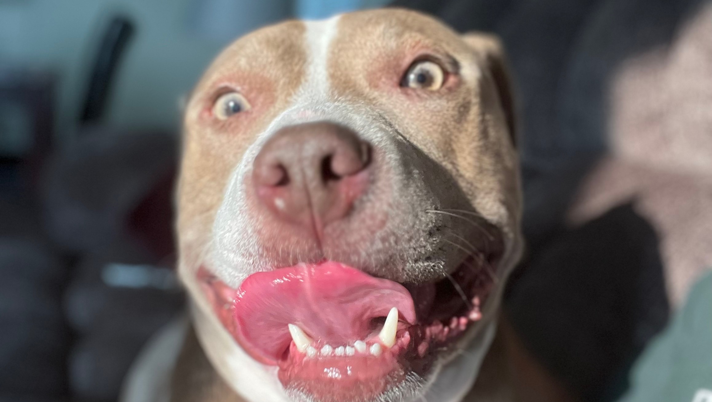 Fundraiser for Katherine Barraco by Jennifer Mcclorey : Katie, Sarah ...