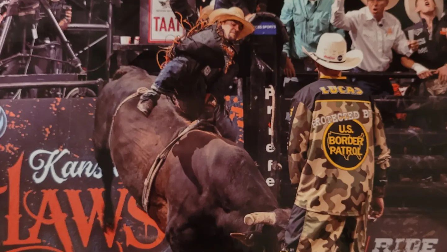 Pbr Bull Code Blue