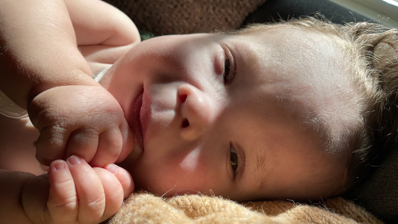 Fundraiser for Jacob Lucas by Angie Overton : Jacob & Tierne Lucas