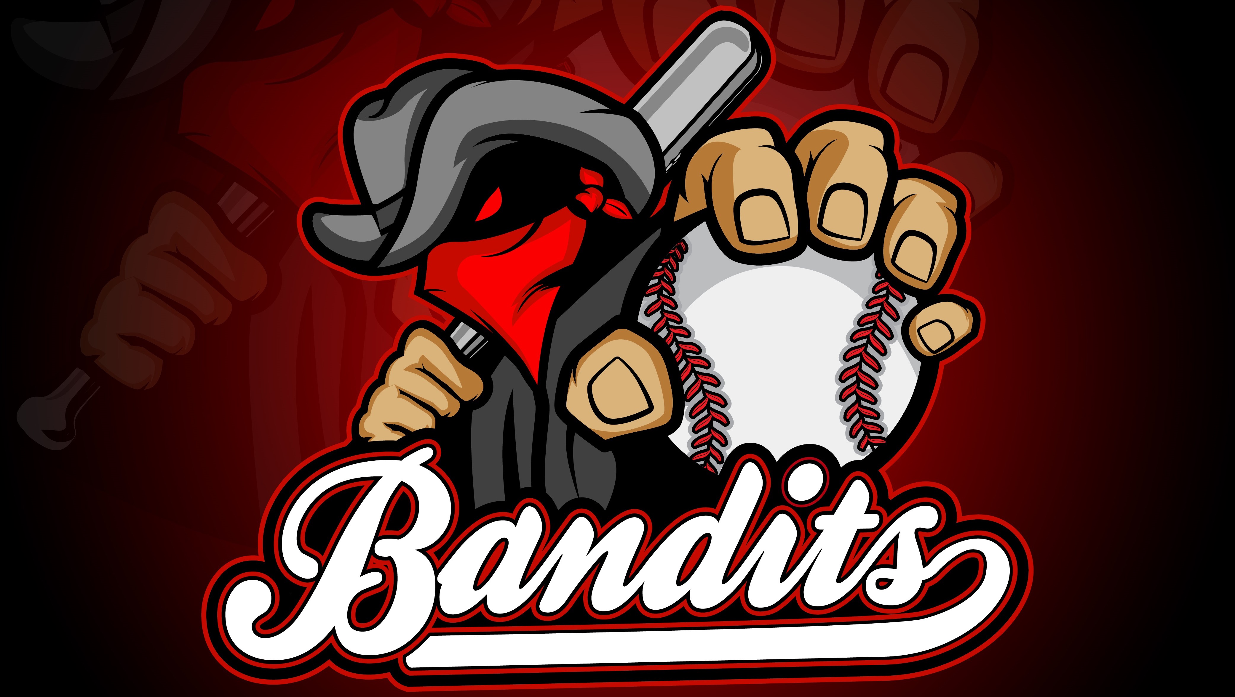 Fundraiser by Todd Atkinson : Bloomingdale Bandits 9U Travel Baseball Team
