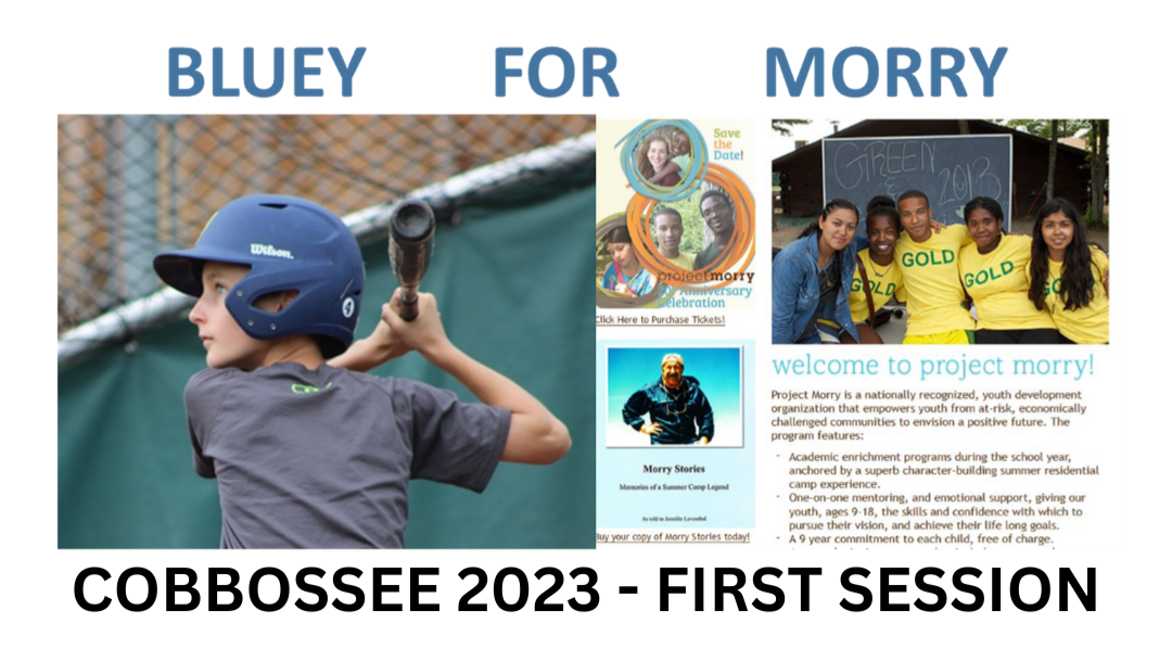 Fundraiser by Josh Holland : Bluey for Morry 2023 - First Session