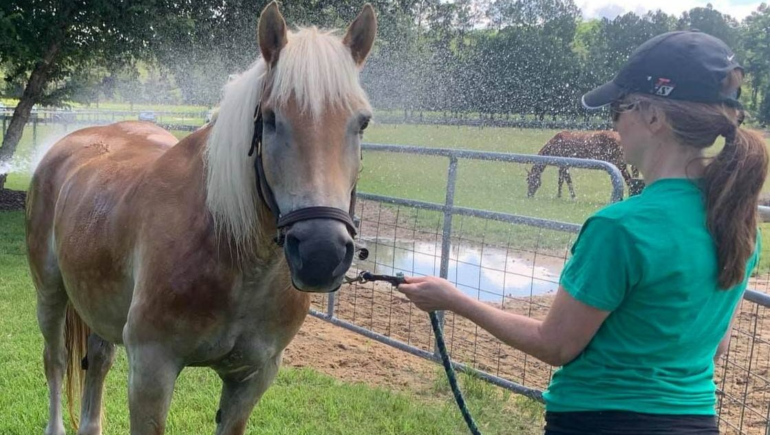 Fundraiser by Judy Lewis : Help Us Help Stuart