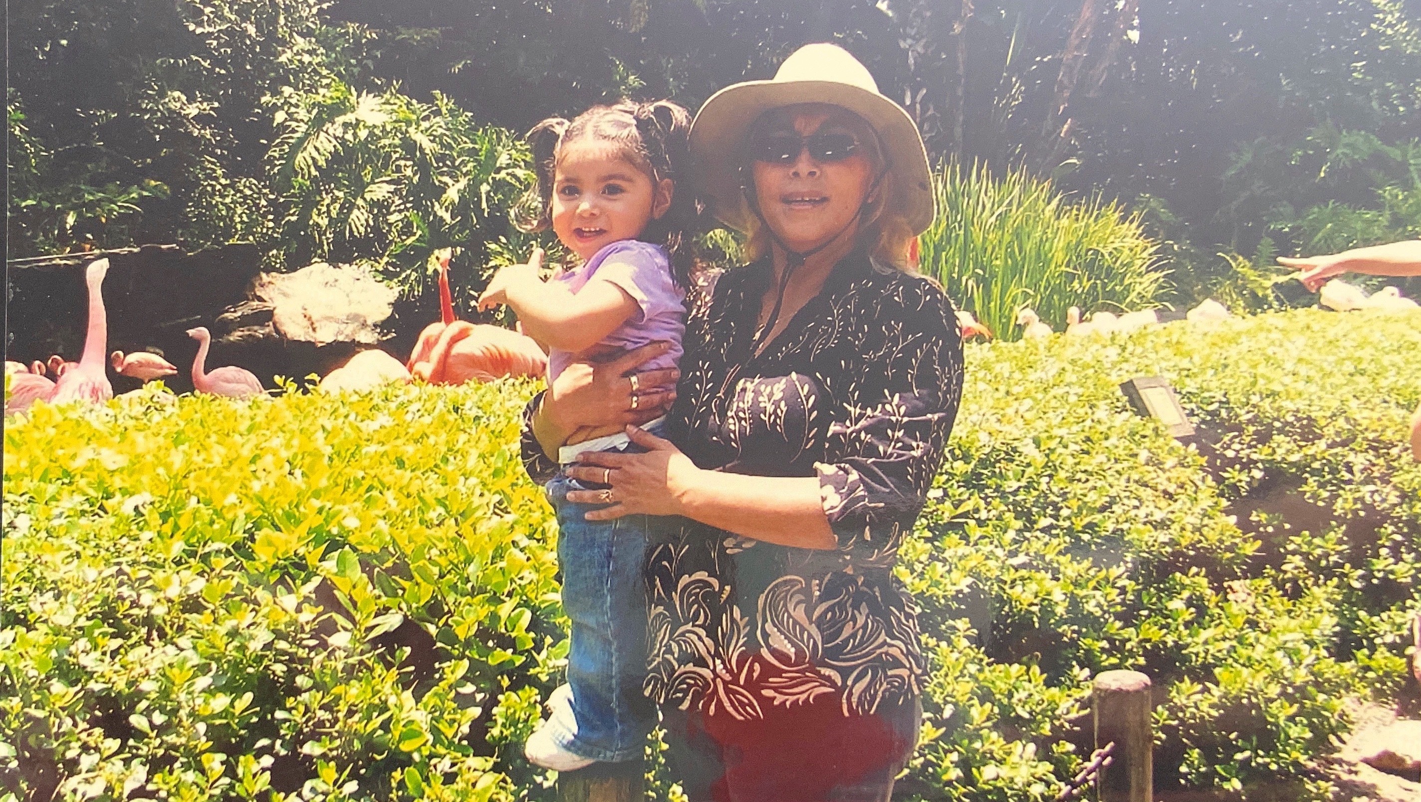 Fundraiser by Franky Calamateos : Maria Calamateos Memorial and Estate Fund