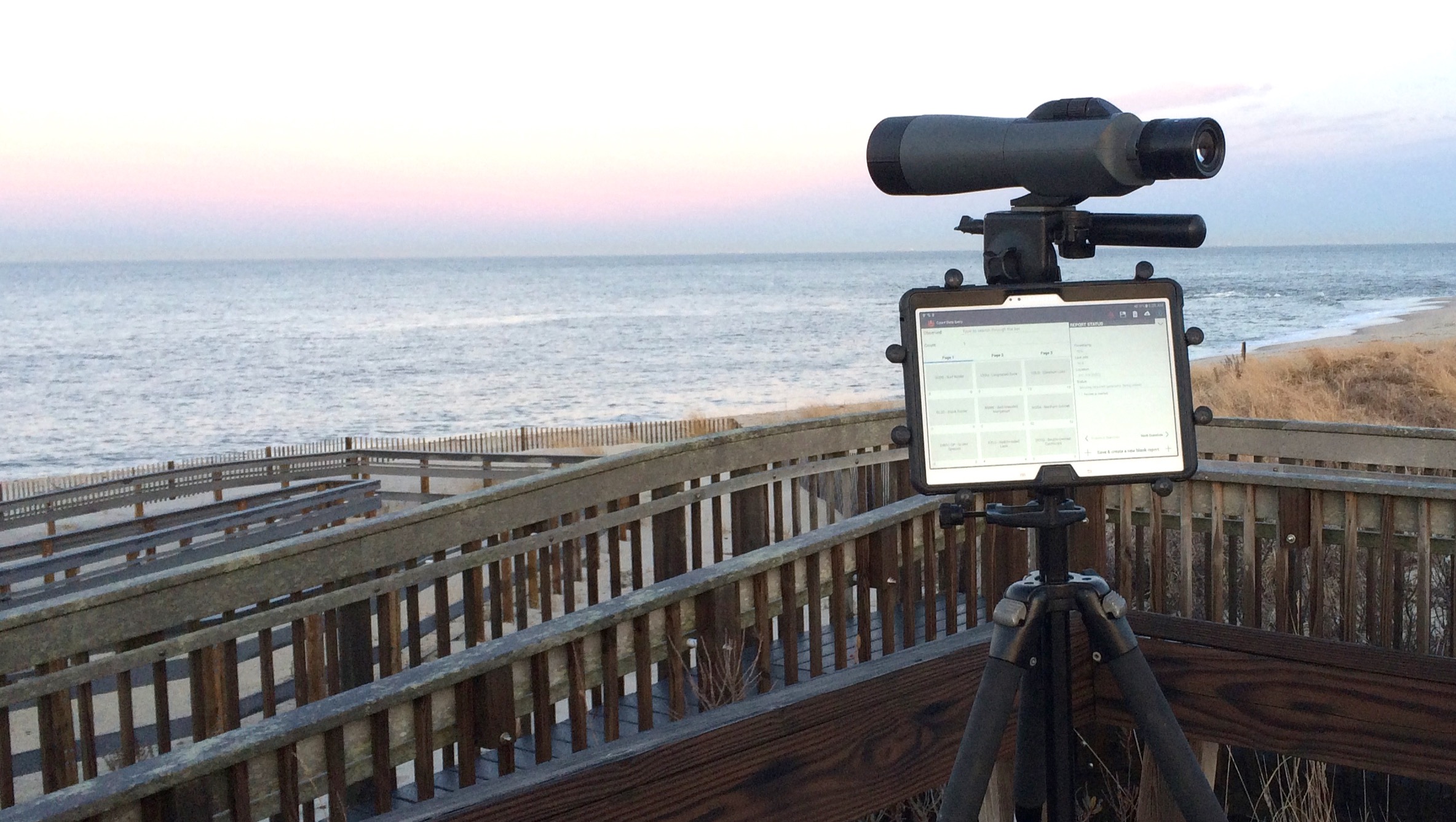 Fundraiser by David La Puma : Taking the Florida Keys Hawkwatch into ...