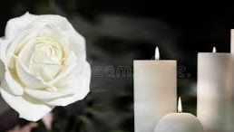 Fundraiser for Timothy McSorley by Ashley Bryan : Michelle Wise