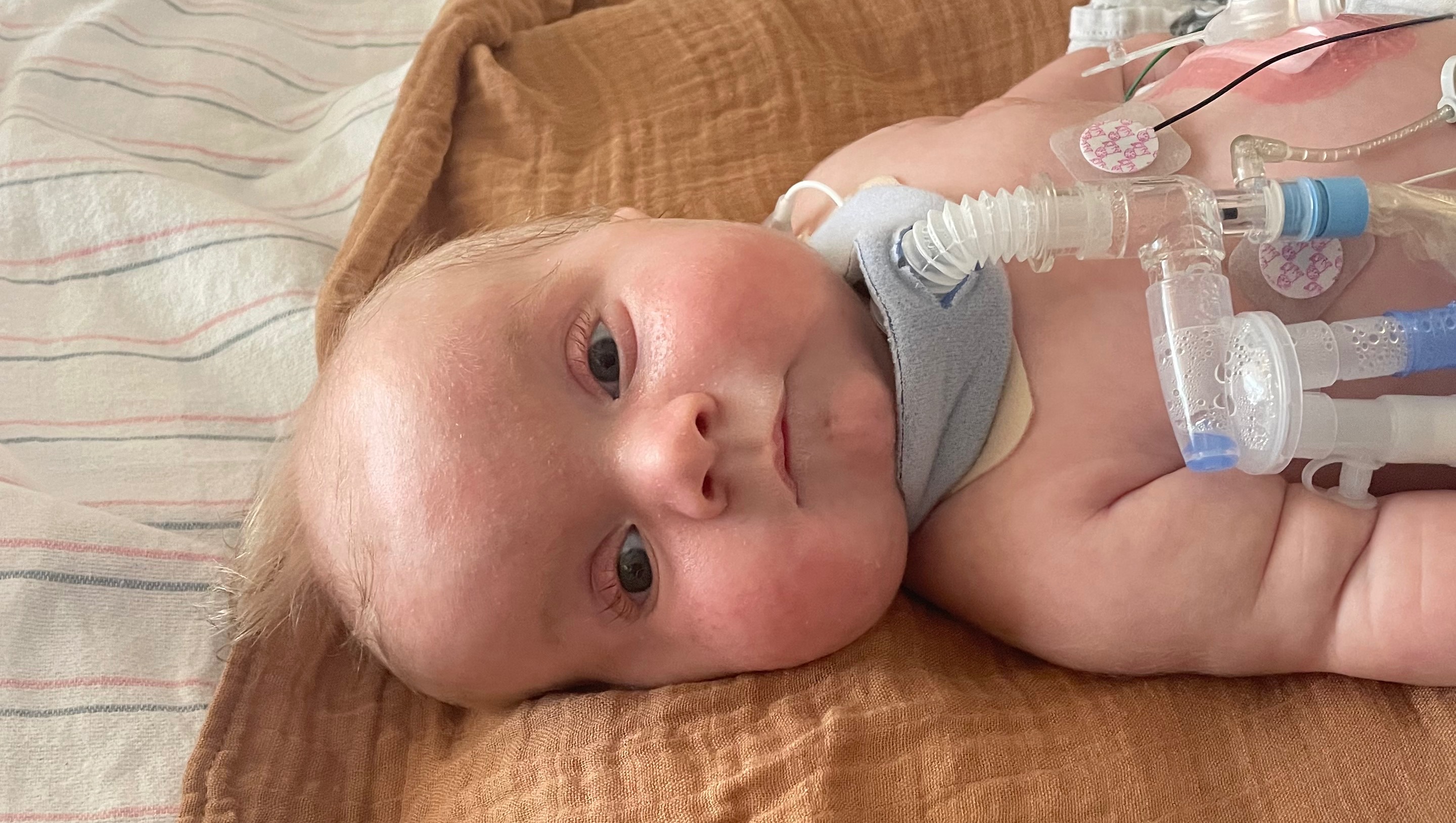 Fundraiser for Destinee Taylor by Doriann Nirschl : Help for Luka