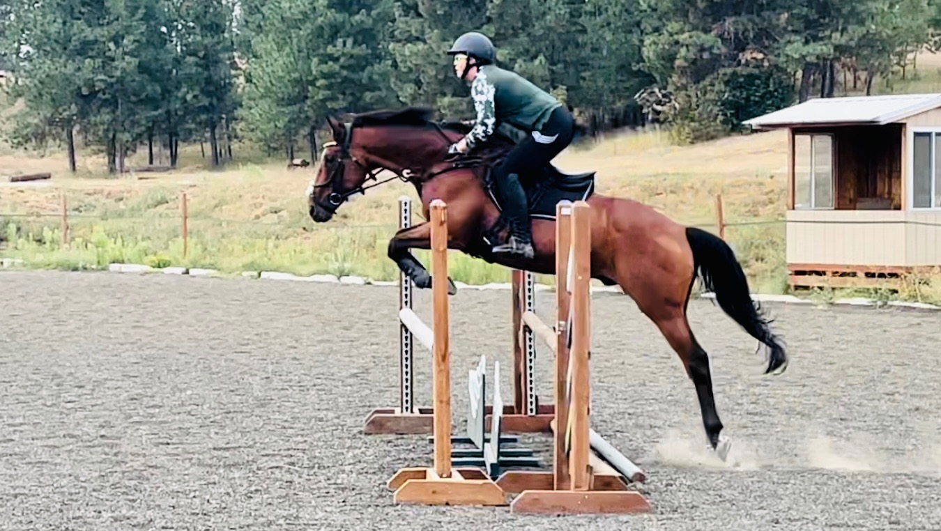 Fundraiser by Tracey Thacker : Help Scooby and I get to the 2023 AEC’s