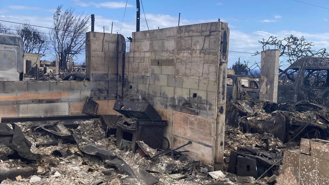 Fundraiser by Candice Negron : Fire Relief Fund - Maui Activity ...