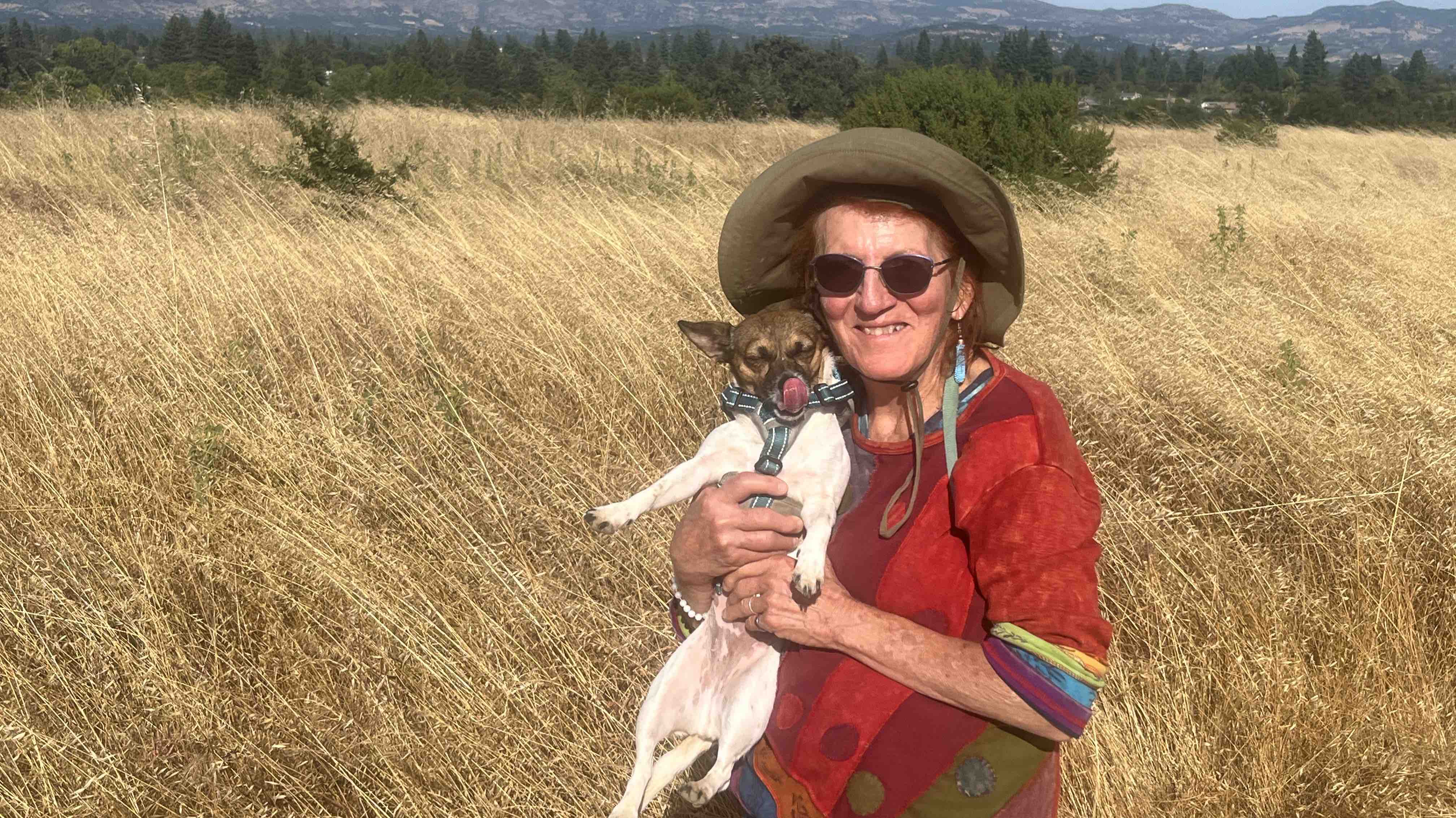 Spendenaktion von Sharon Gilbert: Get Steve Rogge back on the road!