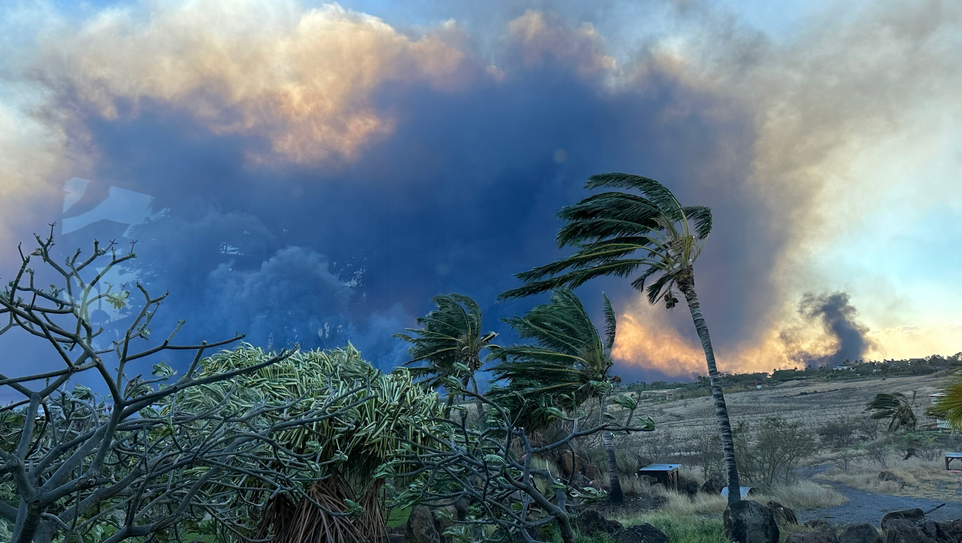 Fundraiser by Jennifer Findlay : Lahaina Angels