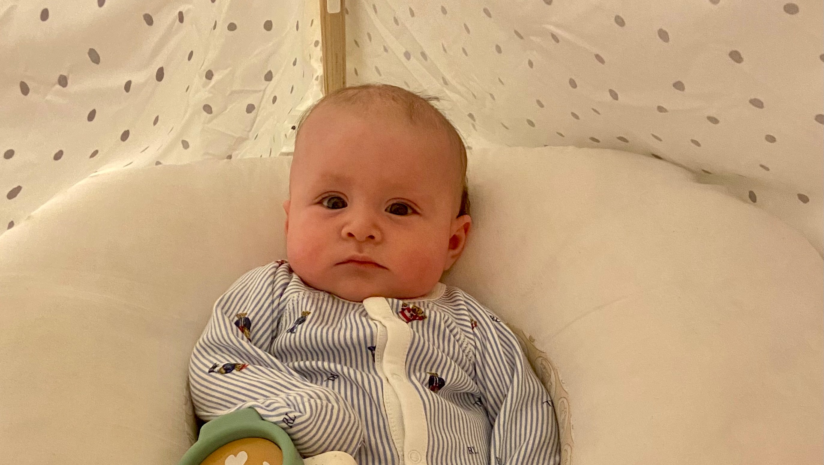 Fundraiser by Angelique Piwinski : My Grandson Sebastian's Open Heart ...