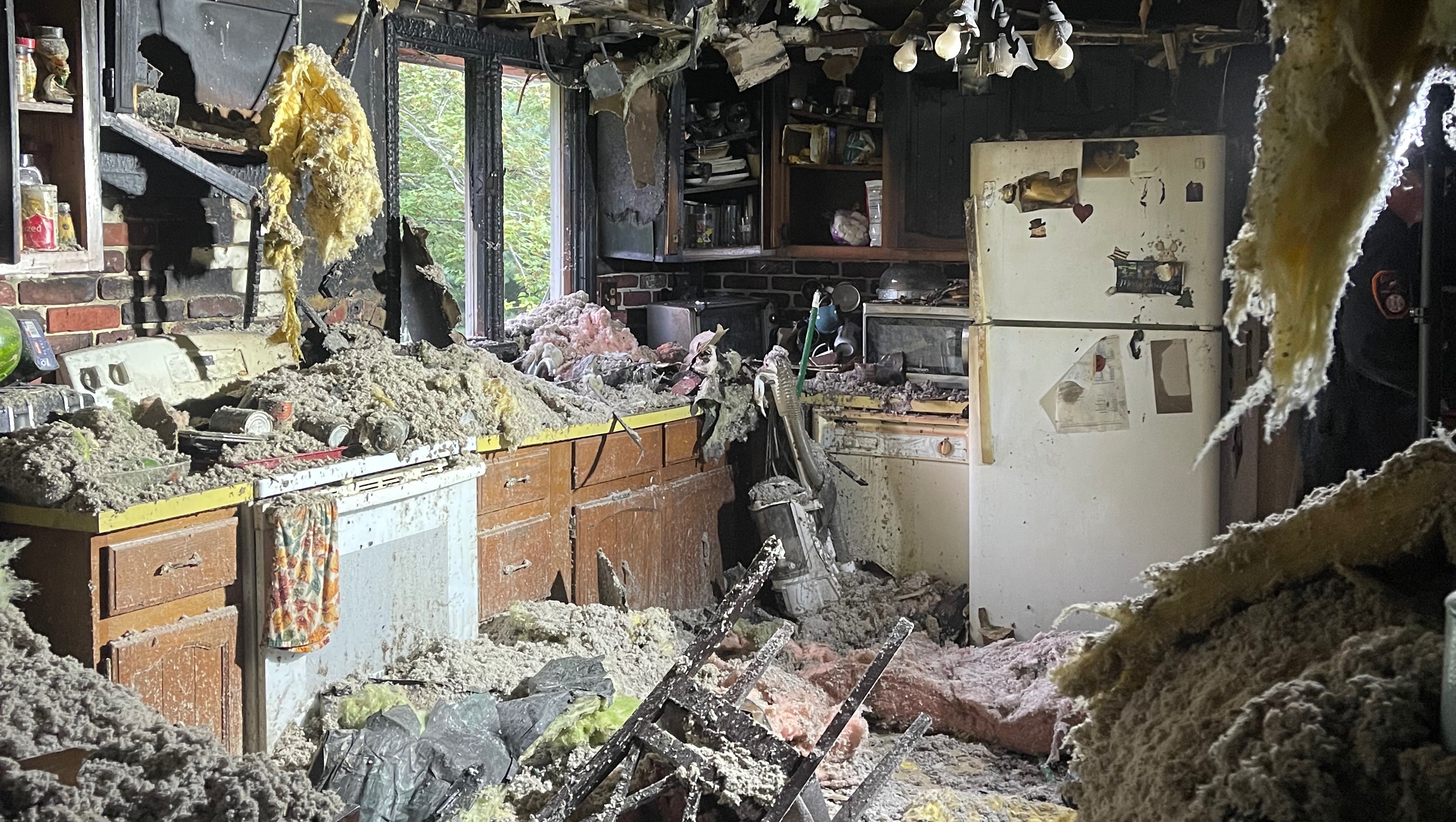 Fundraiser for Elizabeth Abernathy by Johanna Couture : Help the Sang ...