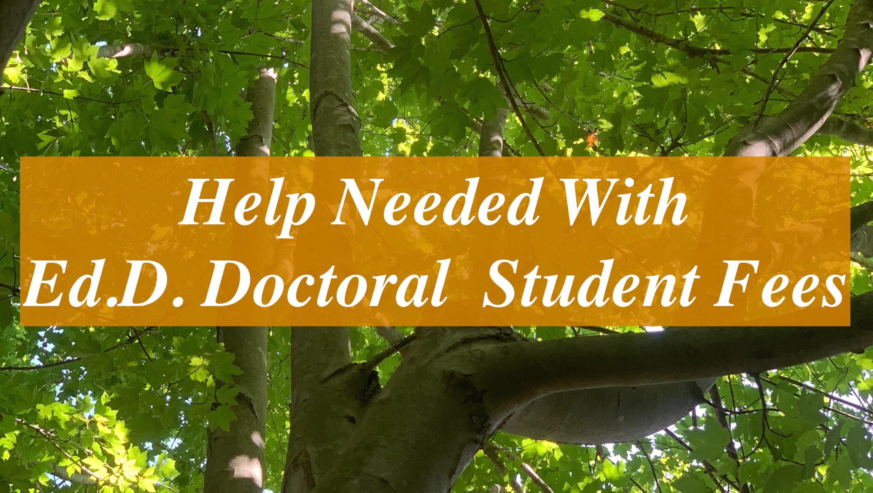 Fundraiser by Francine Ott : Help Needed Doctoral Student Fees