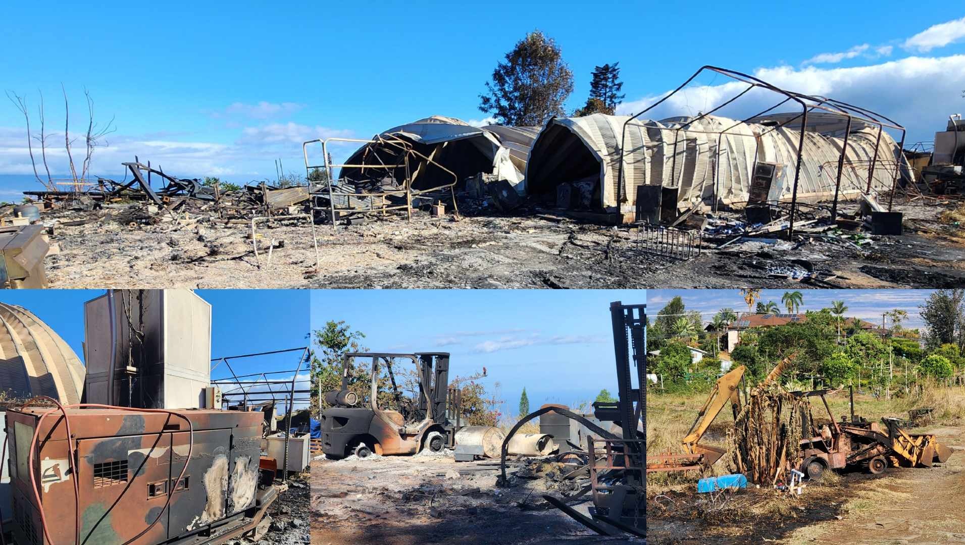 Fundraiser by Gie Gee : RESTORE MAUI NUI FARM