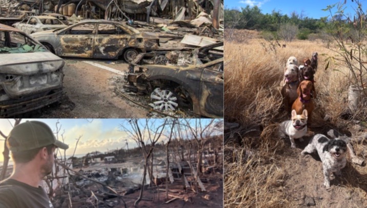 Fundraiser by Matthew Kramer : Help support animals of the Lahaina fires