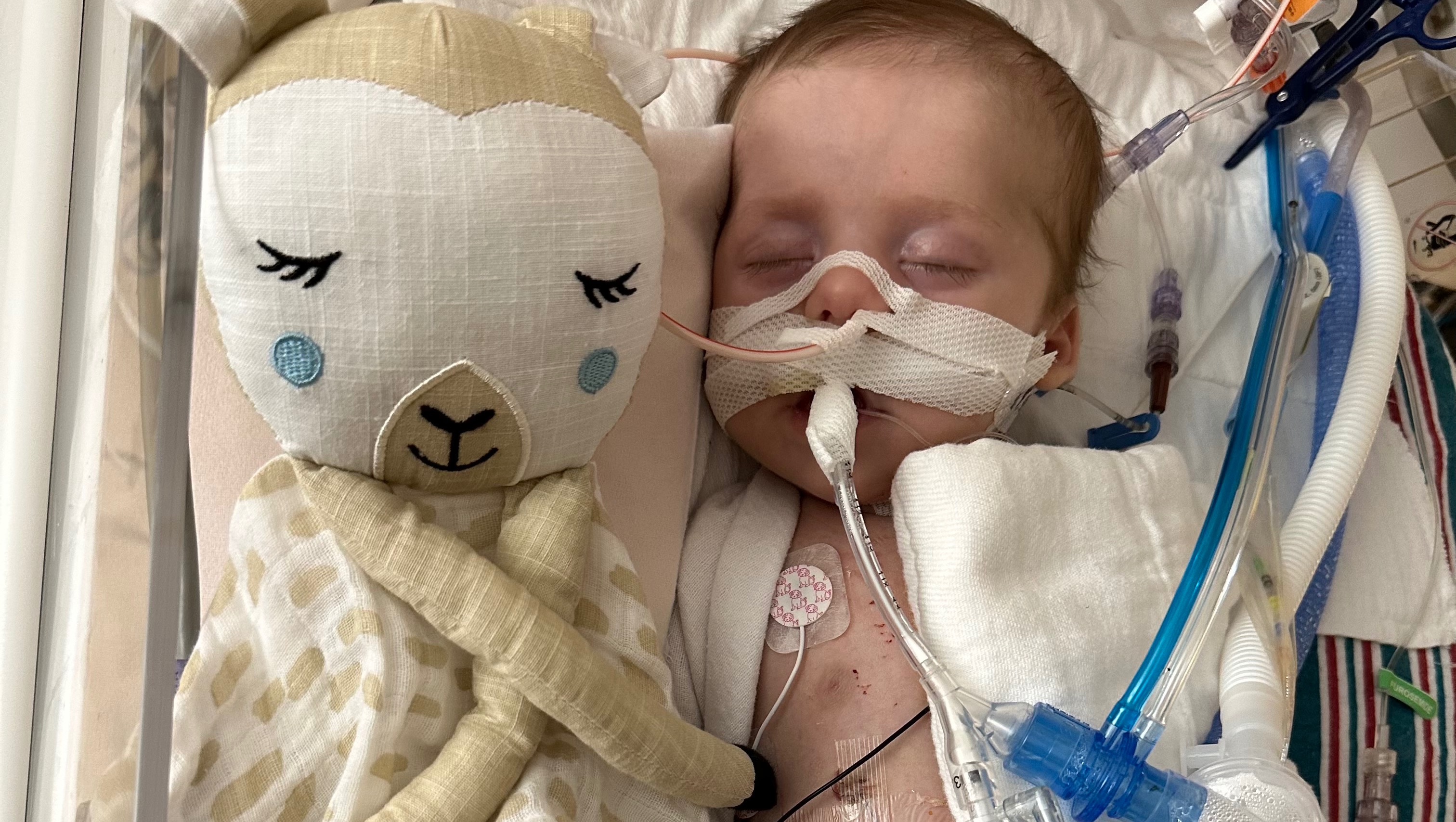 Fundraiser for Michael Halbach by Matthew Halbach : Support Sawyer’s Fight