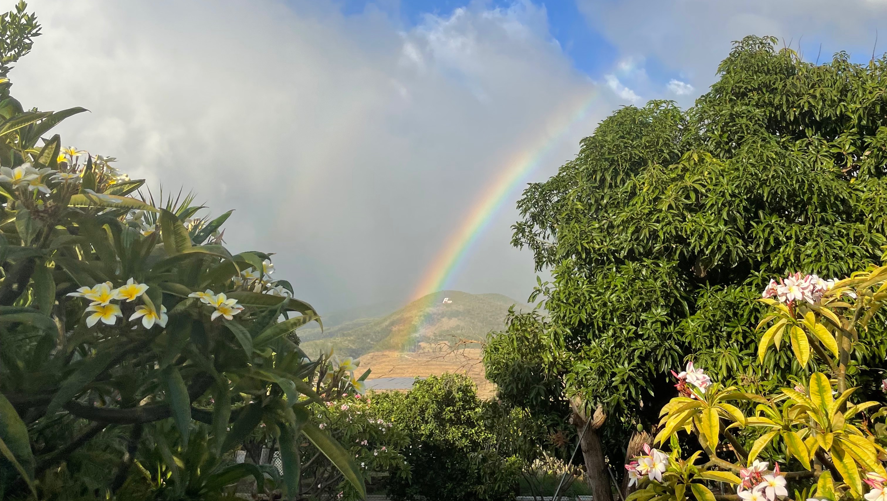 Fundraiser for Lisa Priddy by Kara Taguchi : Maui Fire Recovery Fund ...