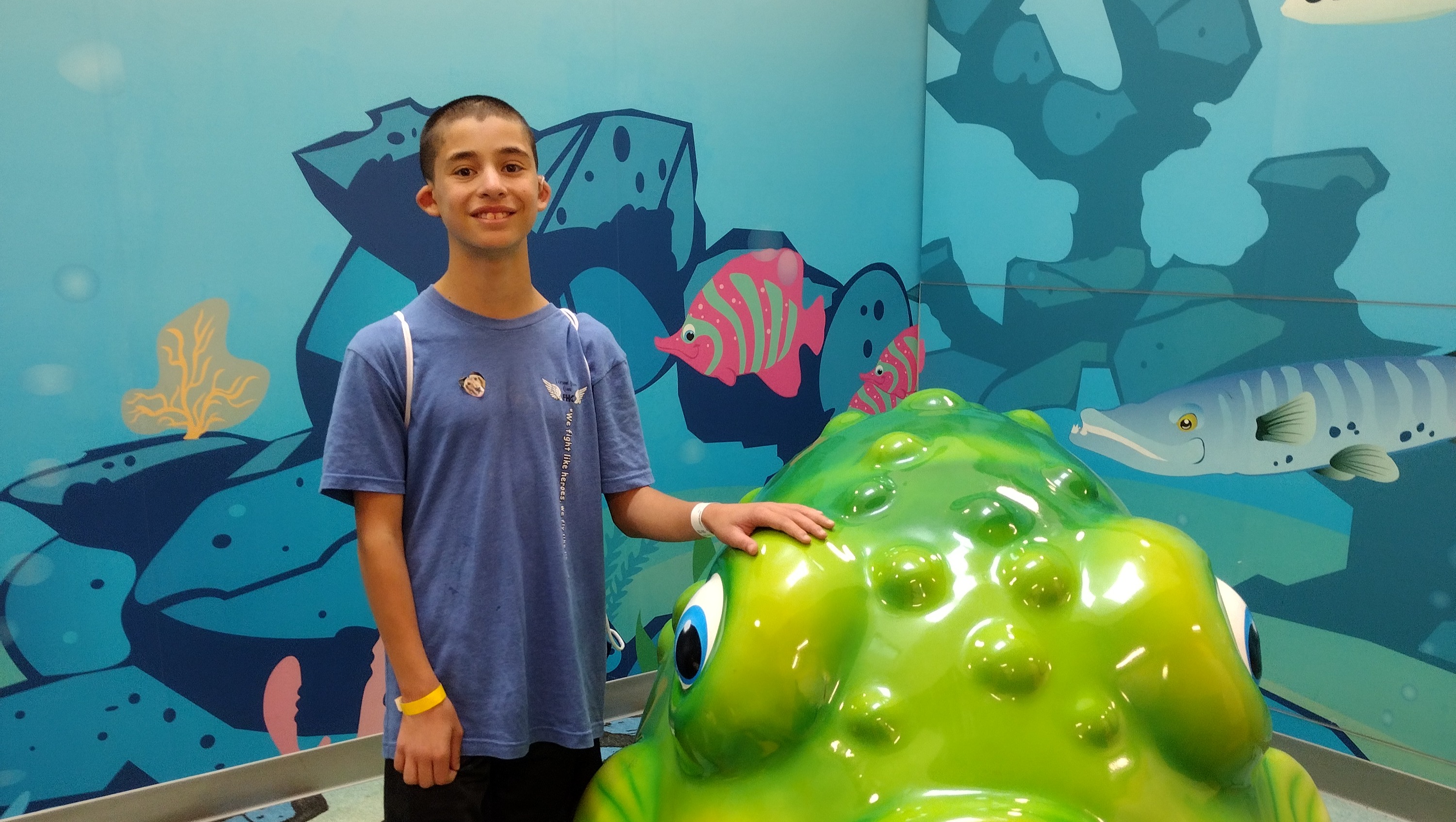 Fundraiser by Danielle Haro : Kidney transplant