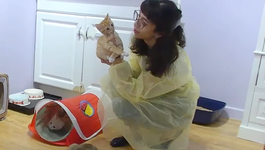 Fundraiser by Jo Ayala : Help Jo Get the Medical Treatment She Deserves
