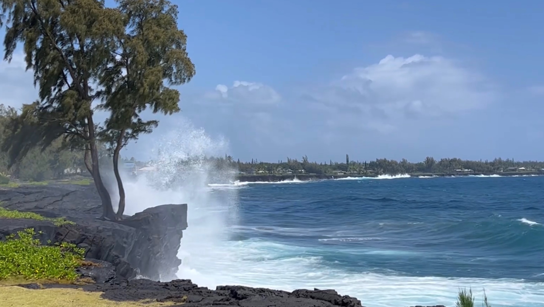 Fundraiser by Nicole Craig : HPPOA Watchdog Fund