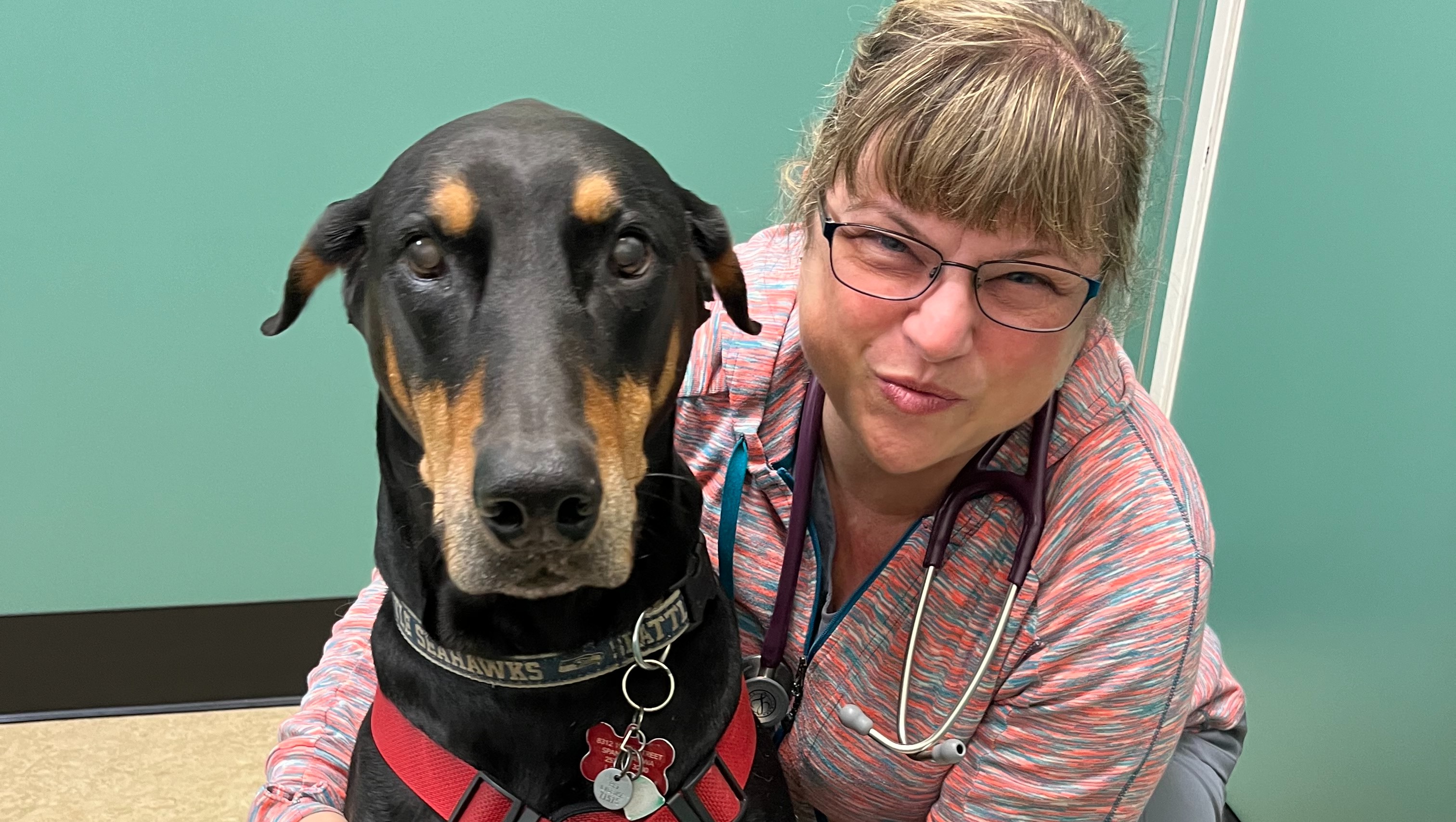 Fundraiser by Patti Dailey : Help Carol with Thors Vet Bills