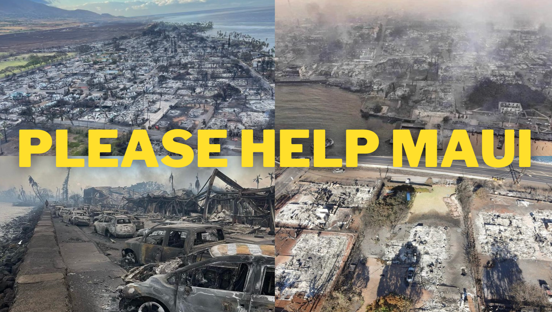 Fundraiser by Stephanie Constanzo : PLEASE HELP LIVES THAT WERE BURNED ...