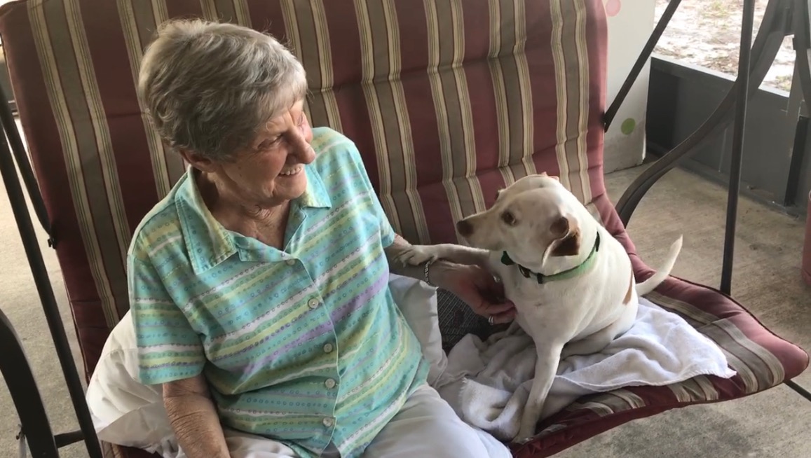 Fundraiser for Candie Fry by Christa Fry : Funeral Expenses for Shirley