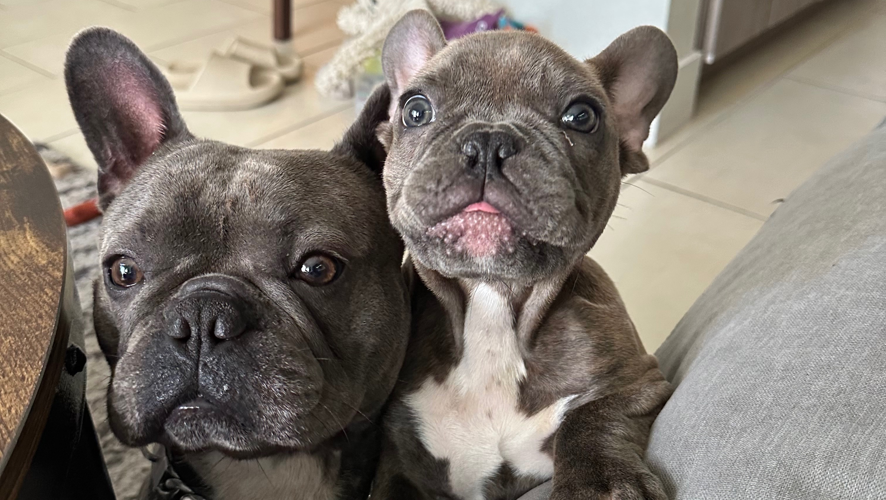 Fundraiser for Christopher Marquez by Chanel Andrews : Alexandra Marquez