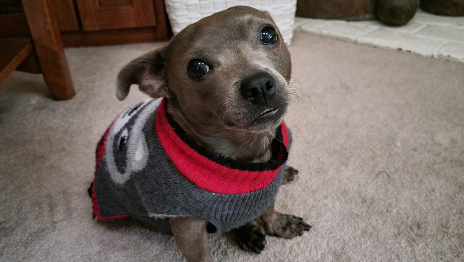 Fundraiser for Ryan McColloch by Seth Shepard : Gilly's Neural Surgery