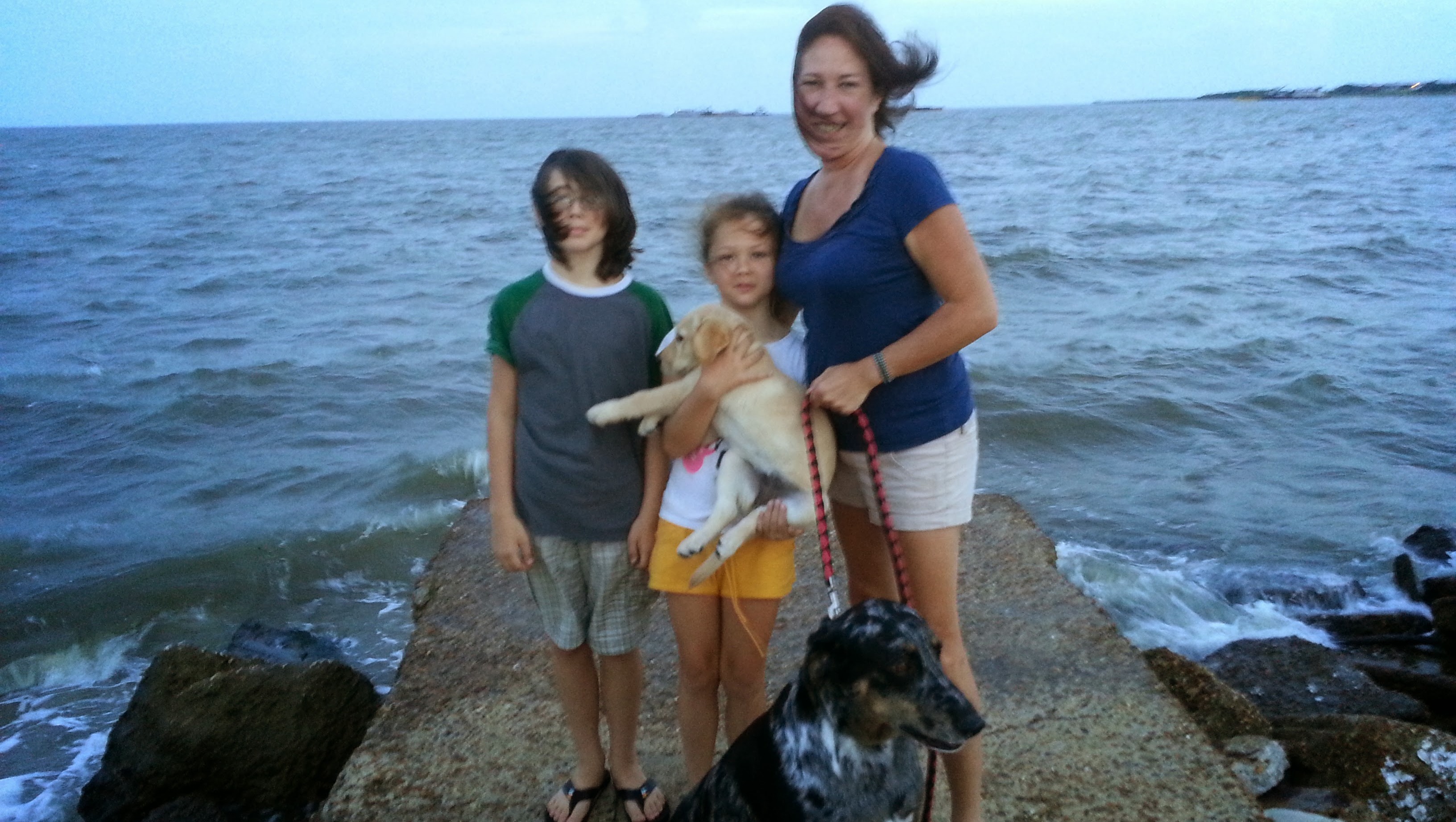 Fundraiser by Anthony Schatz : Lisa Mary Lanquist