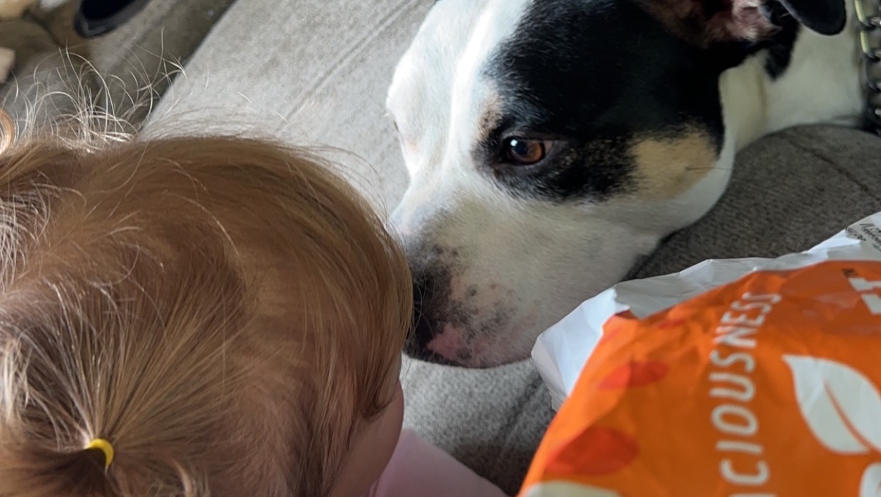 Fundraiser by Hannah Poling : Saving Sydney’s Life (Emergency Surgery)