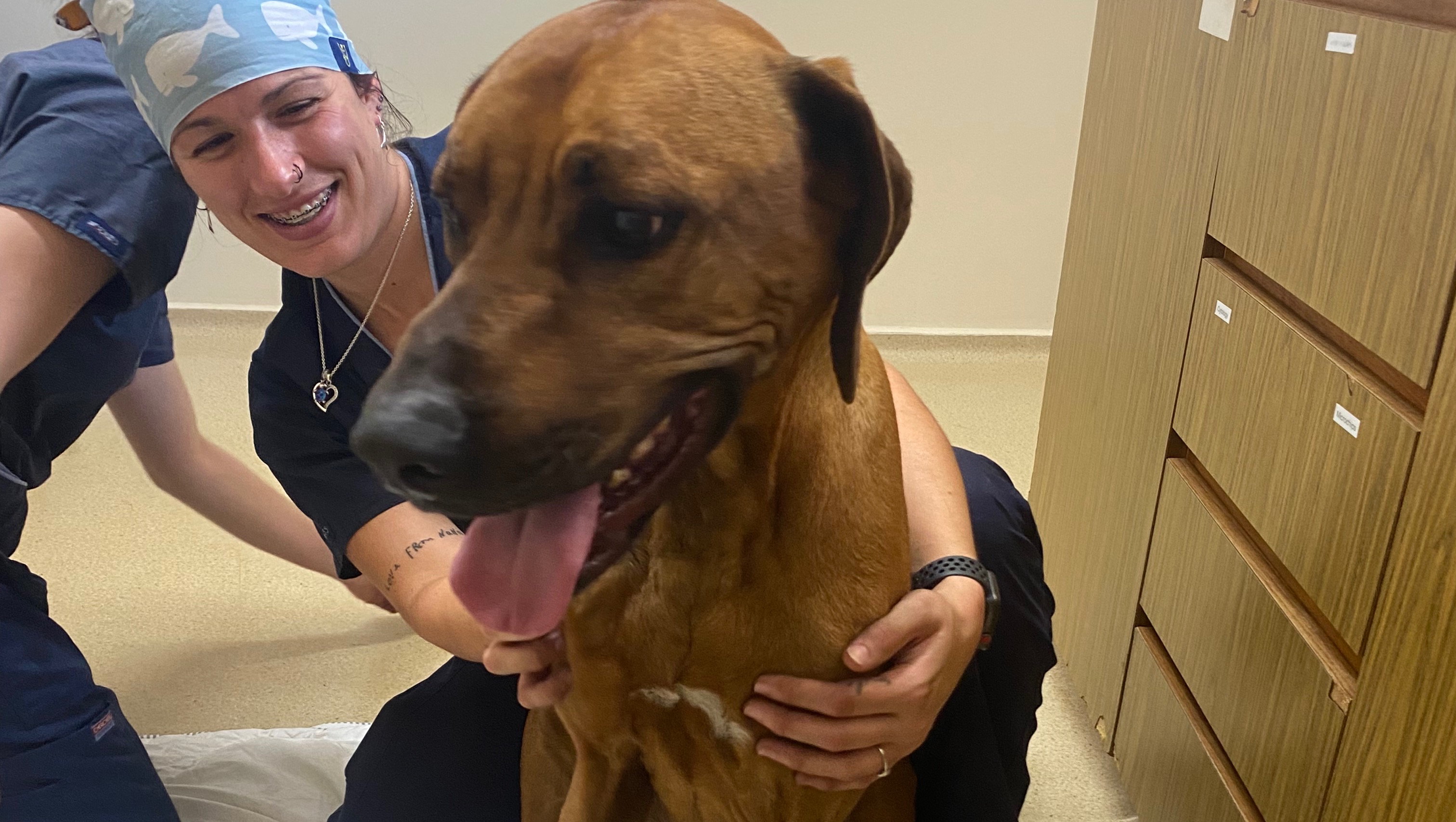 Fundraiser for Tanya Phelps by khyndra phelps : SHAKAS SURGERY