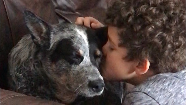 Fundraiser by Anthony Ruble : Help me save my sweet girl